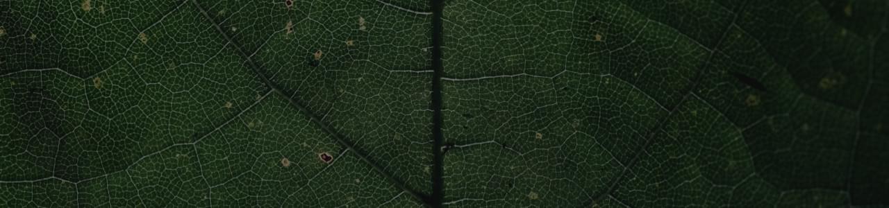 Effects of Forests on Biodiversity | Deforestation & Biodiversity Loss ...