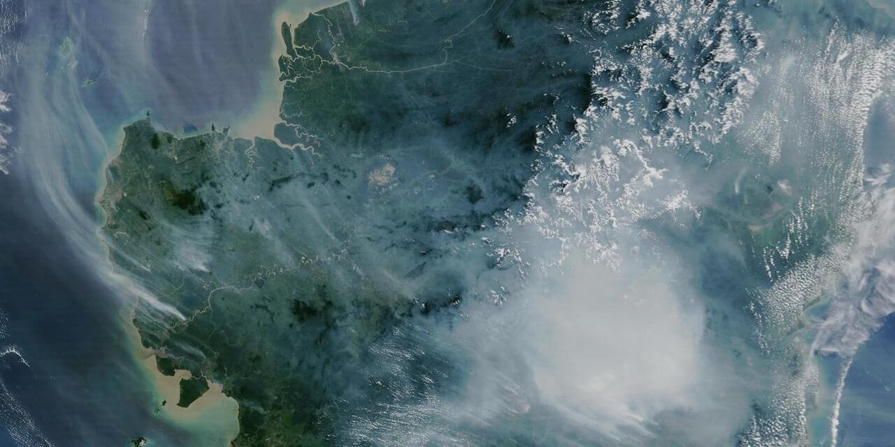 Forest Monitoring, Land Use & Deforestation Trends | Global Forest Watch