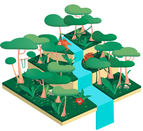 Effects of Forests on Biodiversity | Deforestation & Biodiversity Loss ...