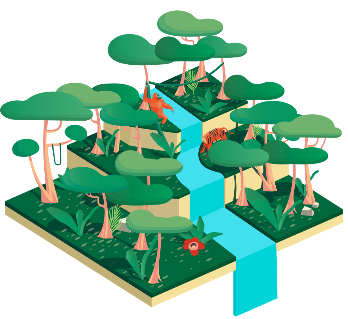 Effects of Forests on Biodiversity | Deforestation & Biodiversity Loss ...