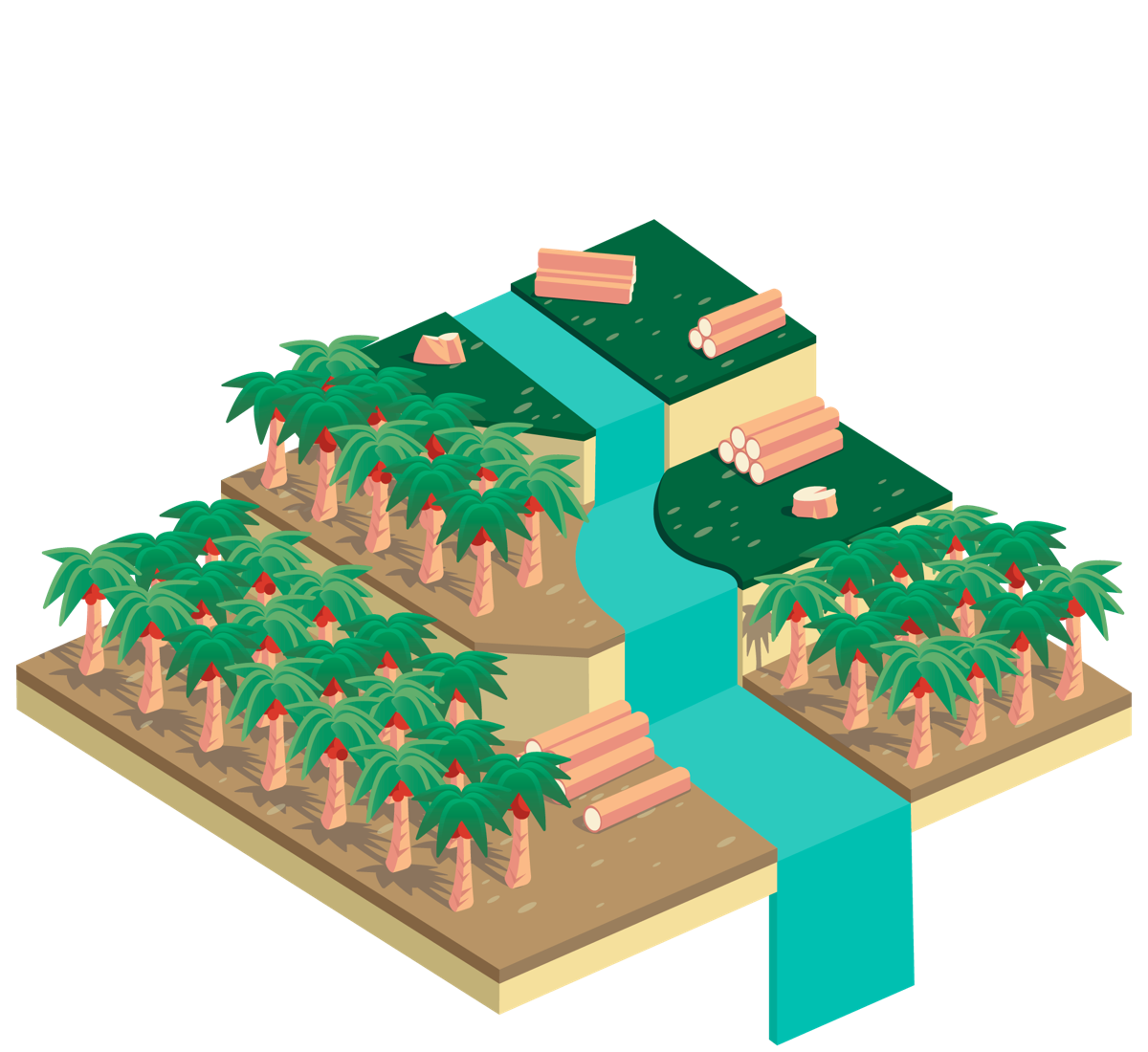 Effects of Forests on Biodiversity | Deforestation & Biodiversity Loss ...