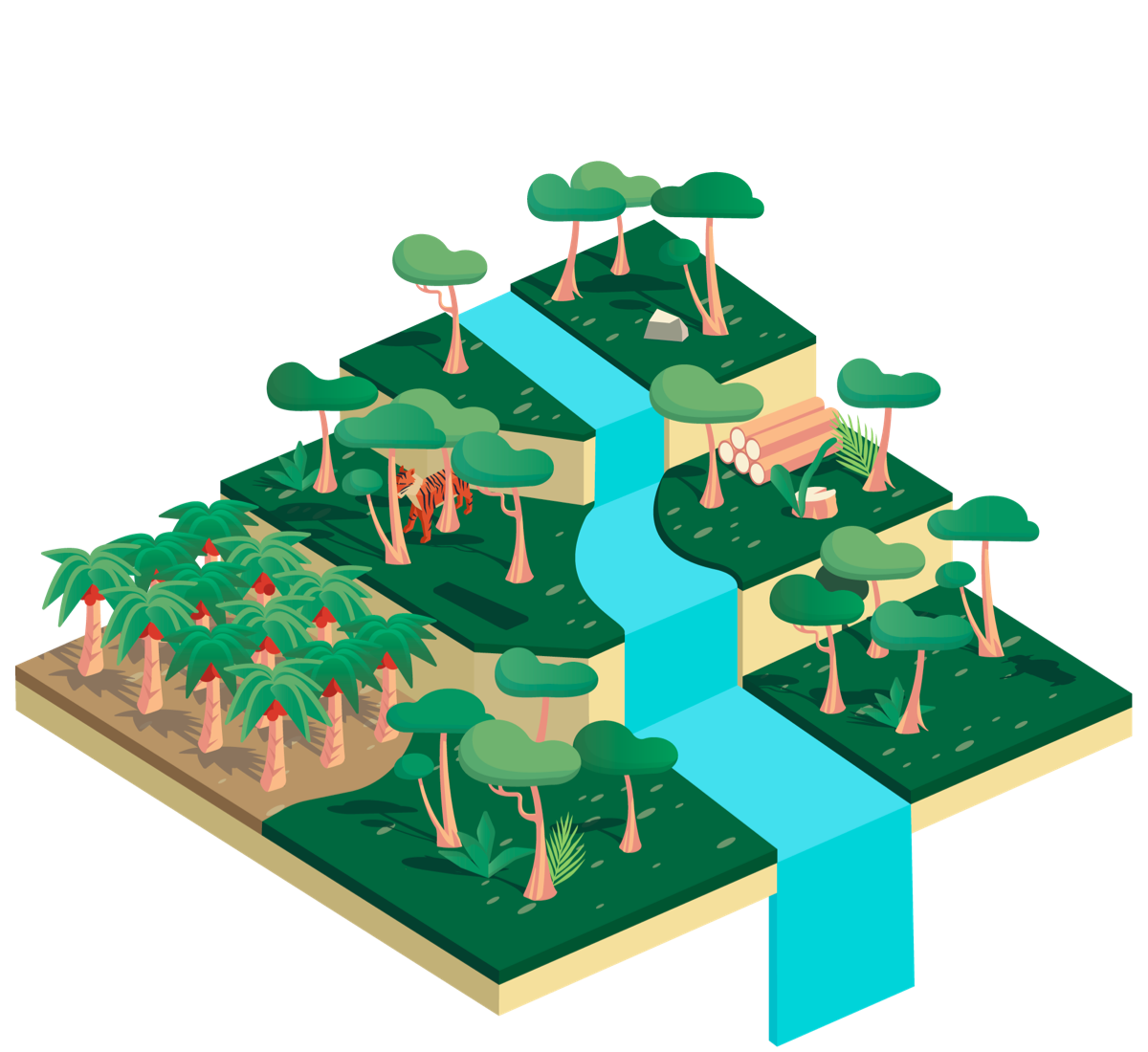 Effects of Forests on Biodiversity | Deforestation & Biodiversity Loss ...