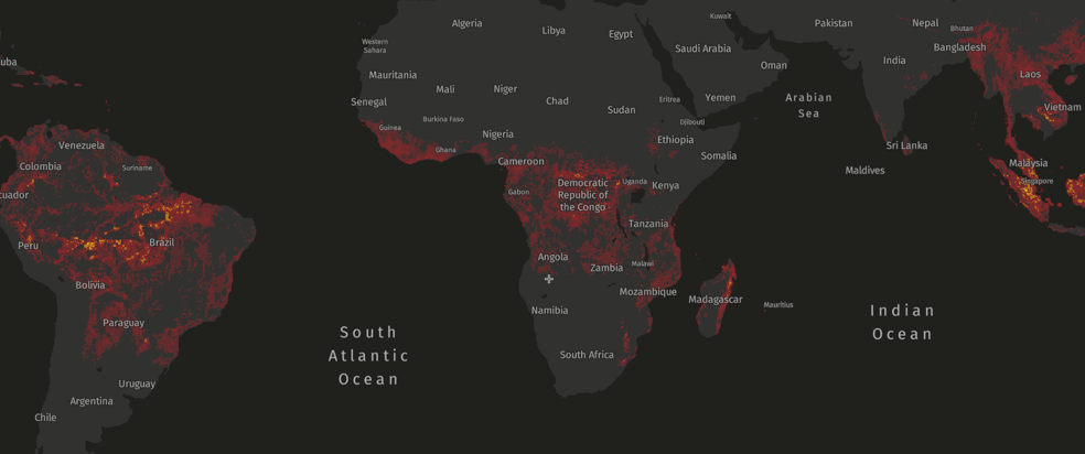 How Forests Affect the Climate | Deforestation & Climate Change | GFW