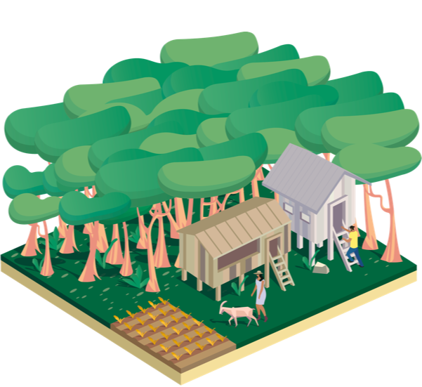 Impact of Supply Chains on Forest Resources | Deforestation ...