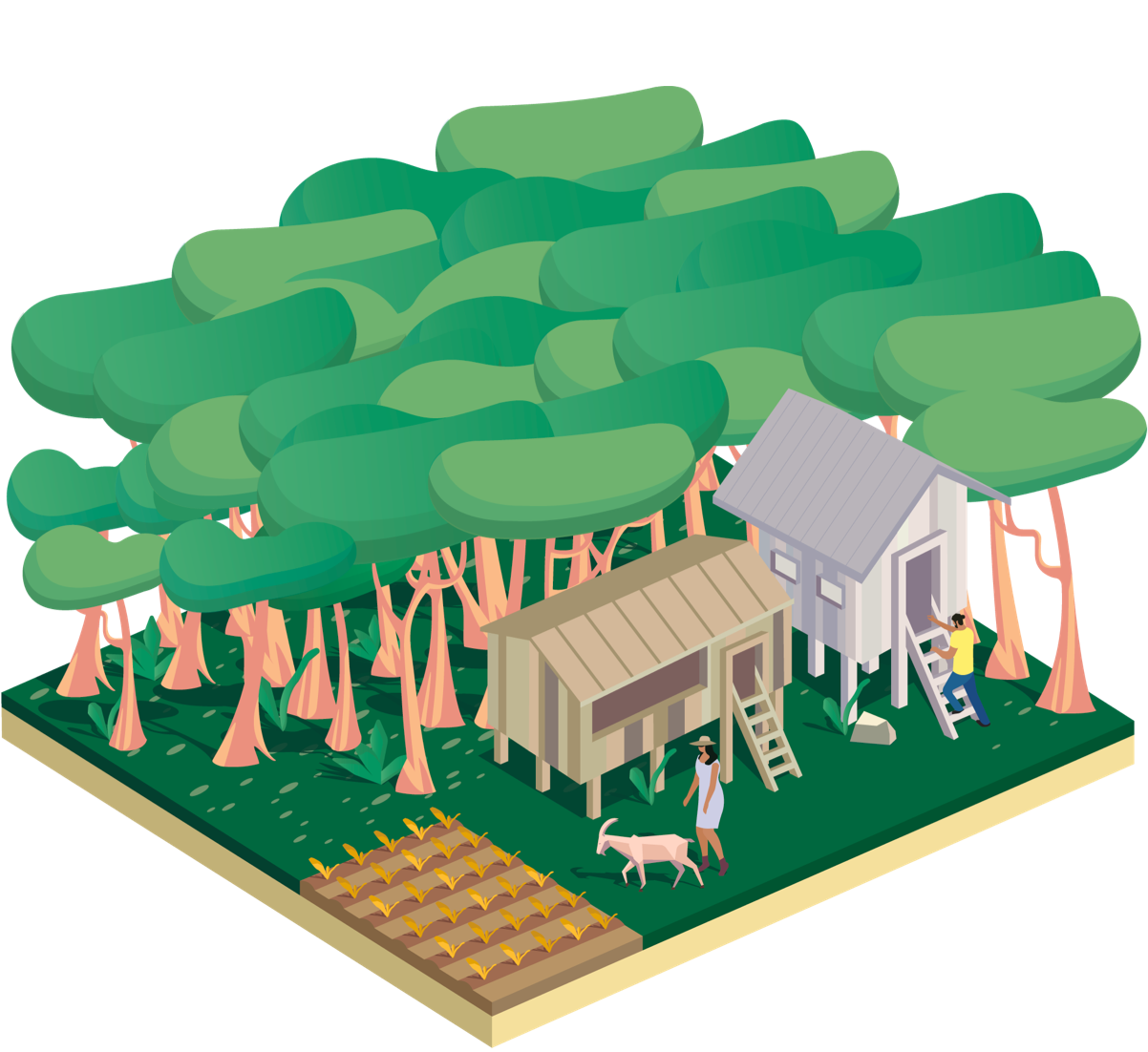 Impact of Supply Chains on Forest Resources | Deforestation ...