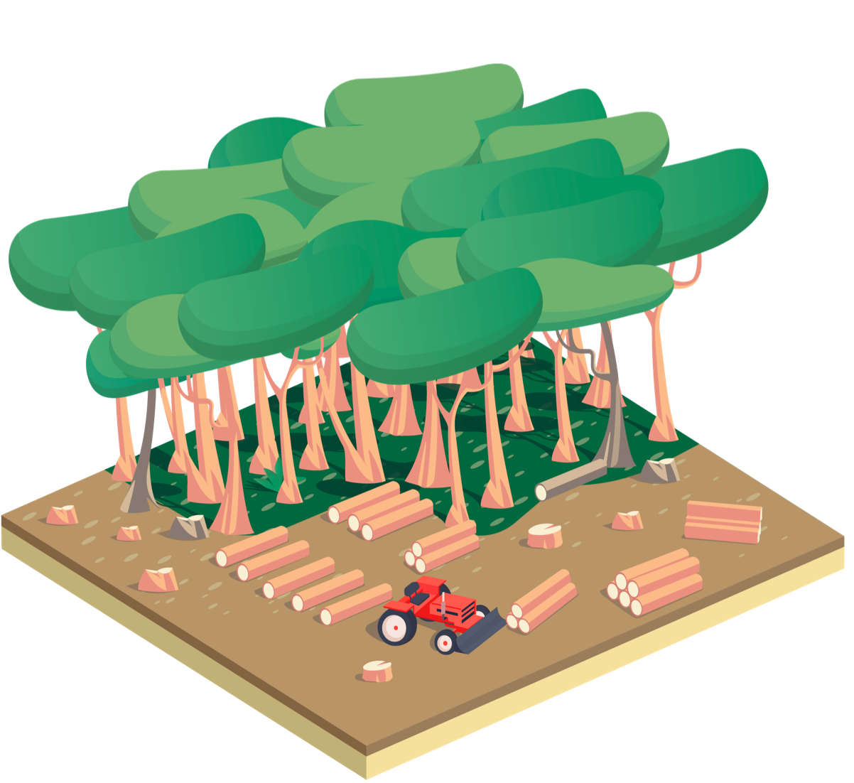 Impact of Supply Chains on Forest Resources | Deforestation ...