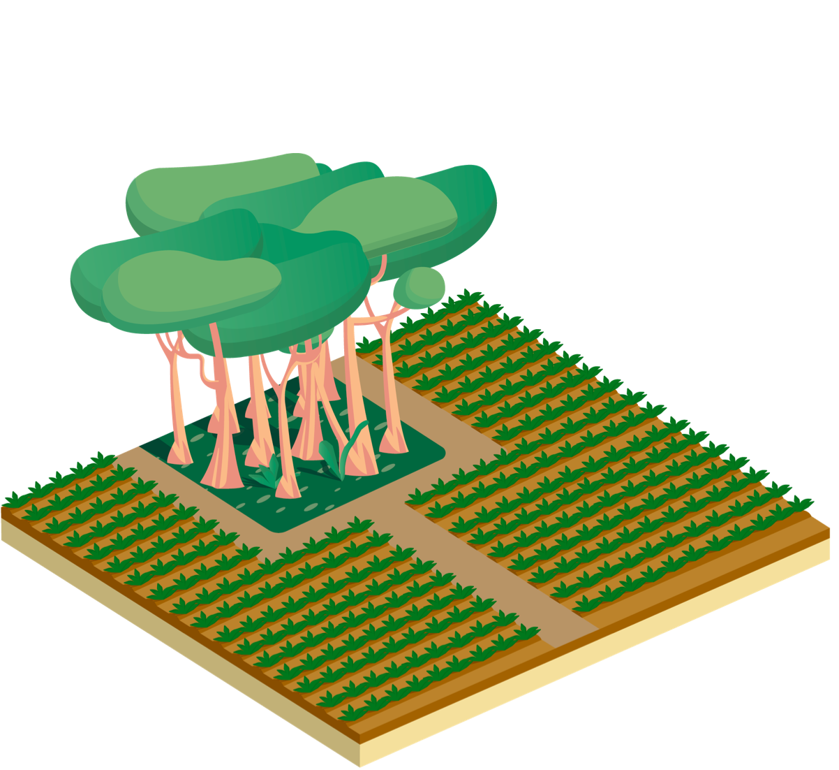 Impact of Supply Chains on Forest Resources | Deforestation ...