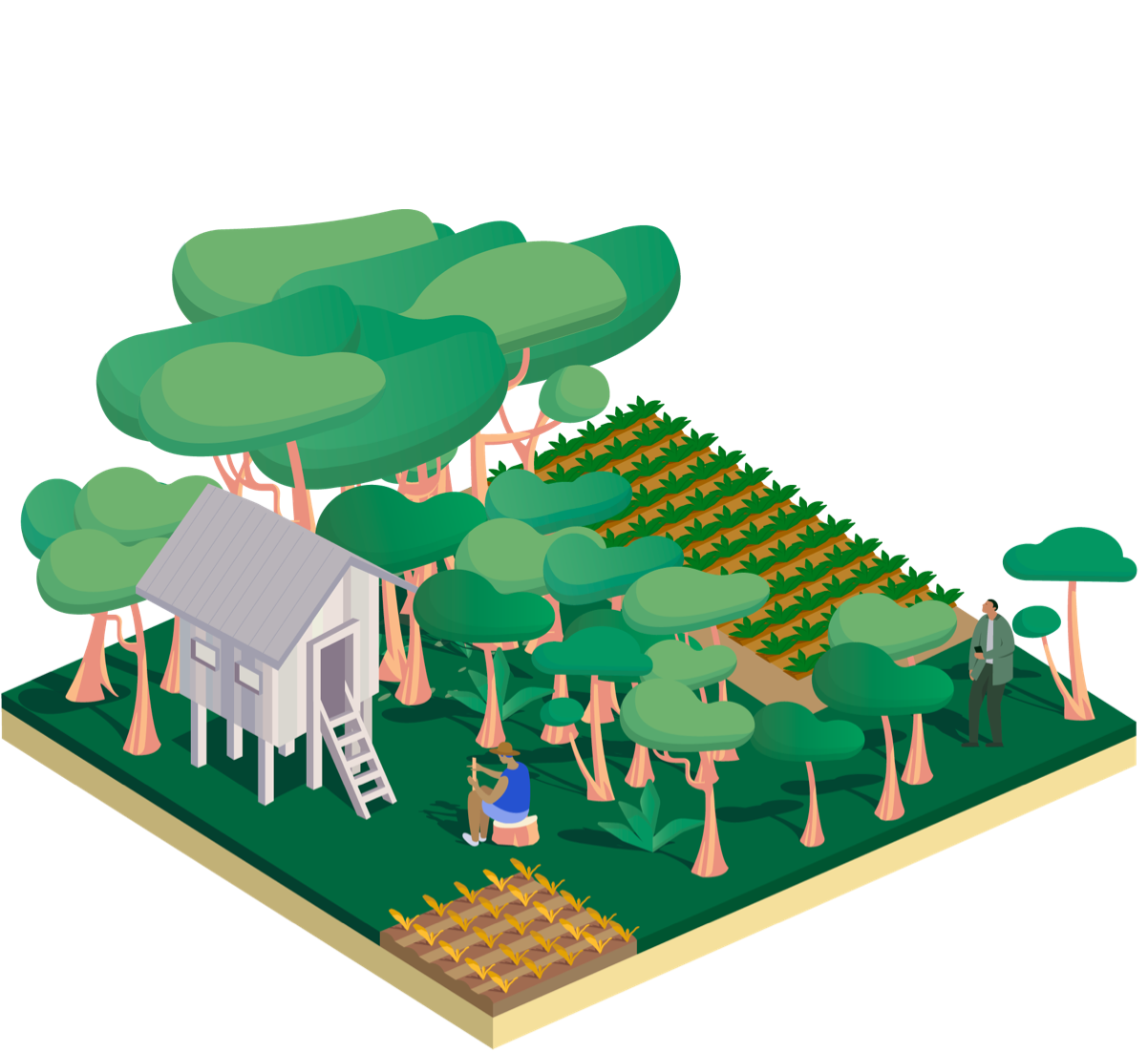 Impact of Supply Chains on Forest Resources | Deforestation ...