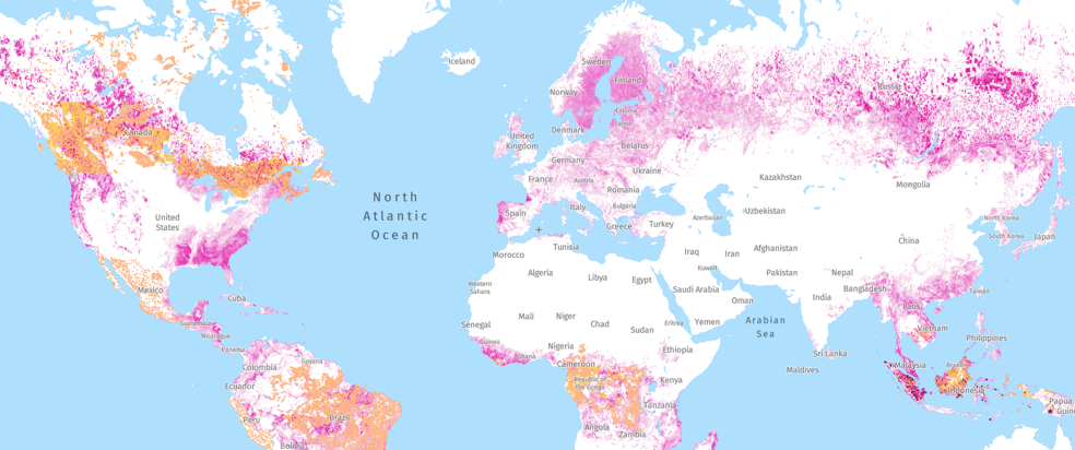 Impact of Supply Chains on Forest Resources | Deforestation ...
