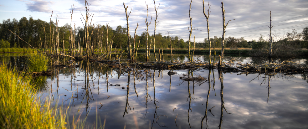 Watershed Health | Effects of Deforestation & Climate Change | GFW