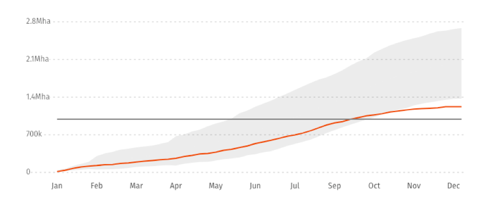 How Forests Affect the Climate | Deforestation & Climate Change | GFW