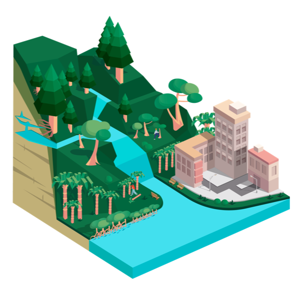 Watershed Health | Effects of Deforestation & Climate Change | GFW